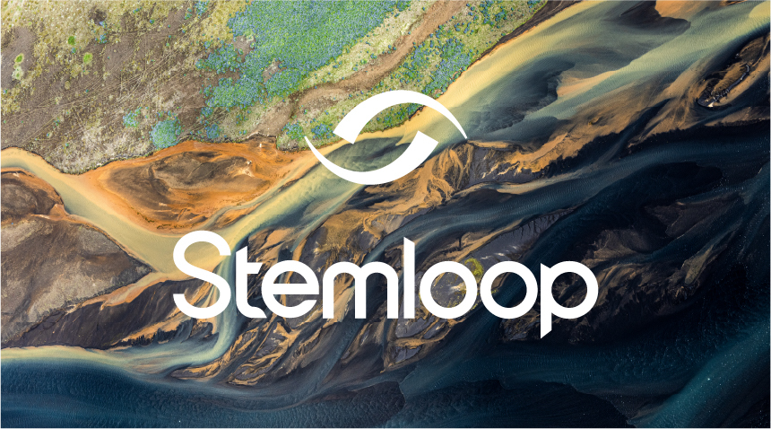 Stemloop Brand Identity - Glantz